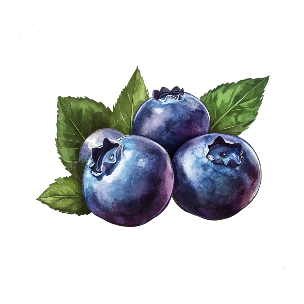Blueberry – Al-Rabie Herbs
